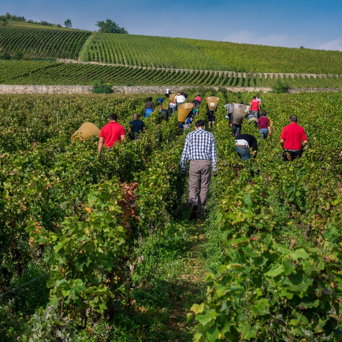 Conversion Bio : aider votre équipe à vivre la transition - Neoverticales